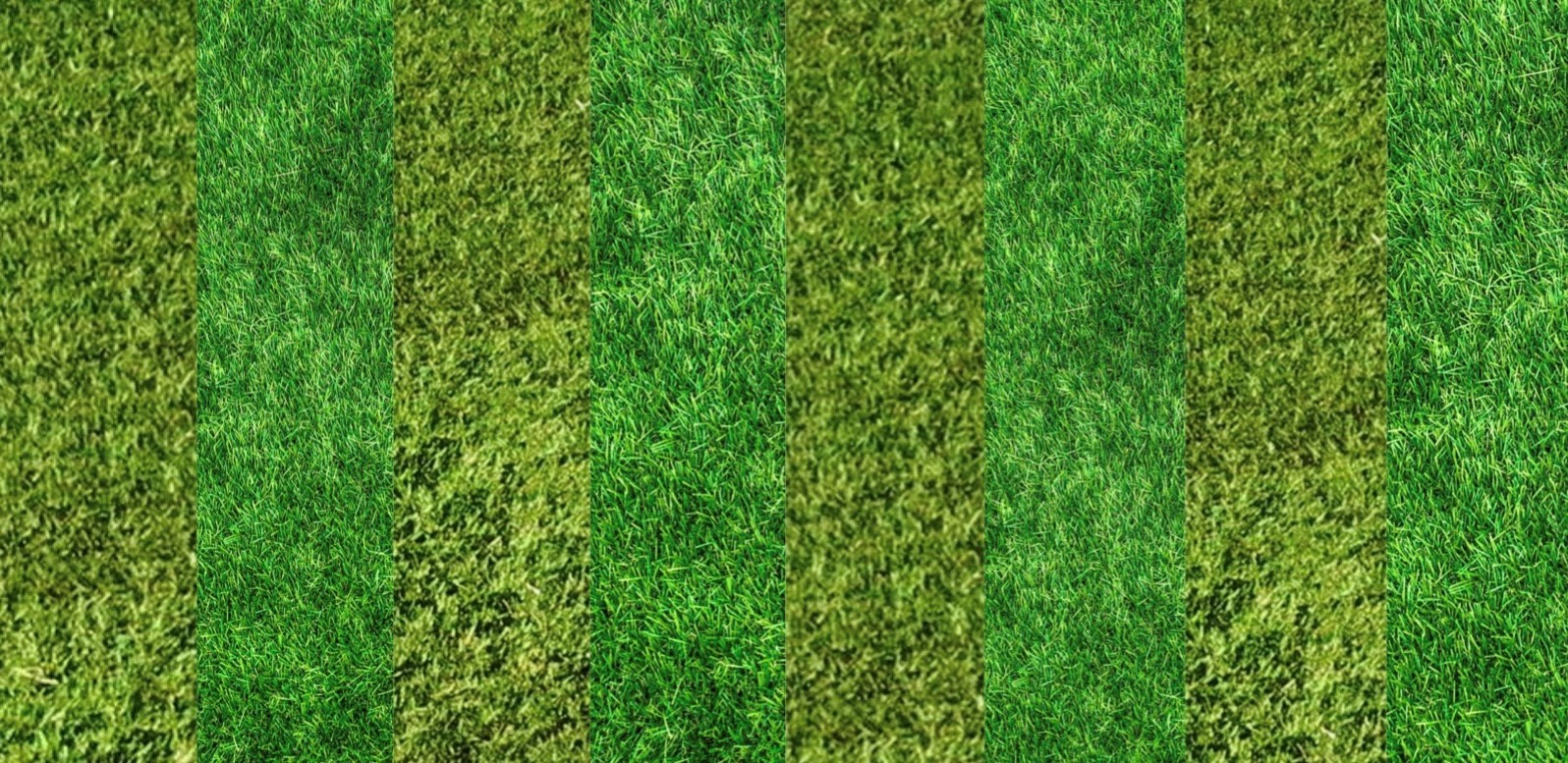 Real Grass Vs Artificial: The Pros and Cons - Ace Of Spades